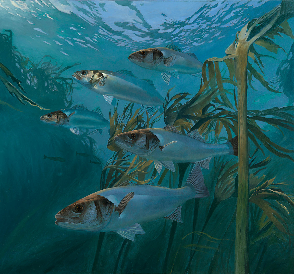 Fish and Wildlife Art | David Miller Art – David Miller Fish & Wildlife Art