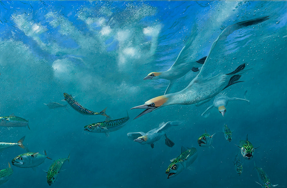 Fish Supper| David Miller Art – David Miller Fish & Wildlife Art