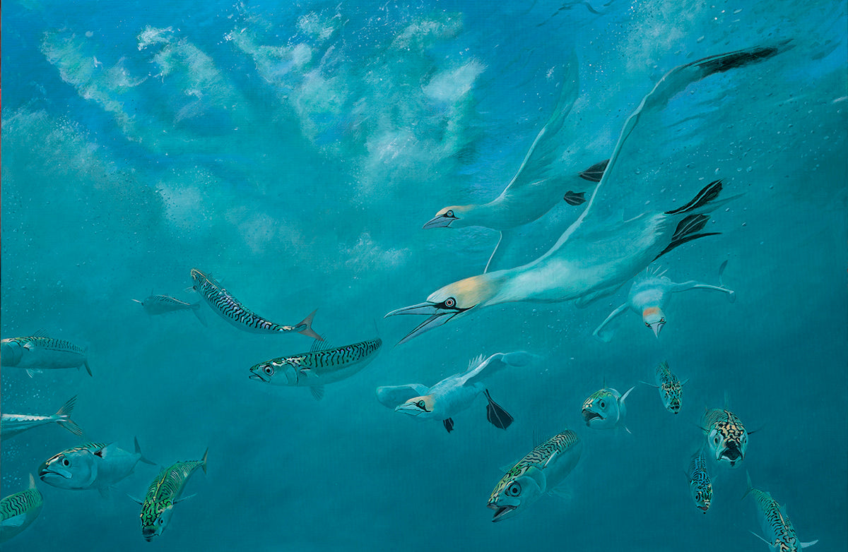 Fish and Wildlife Art | David Miller Art – David Miller Fish & Wildlife Art