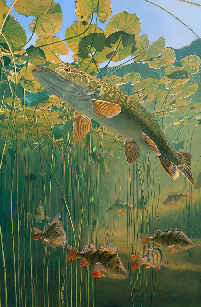 One Hundred Feet in Their World | David Miller Art – David Miller Fish ...