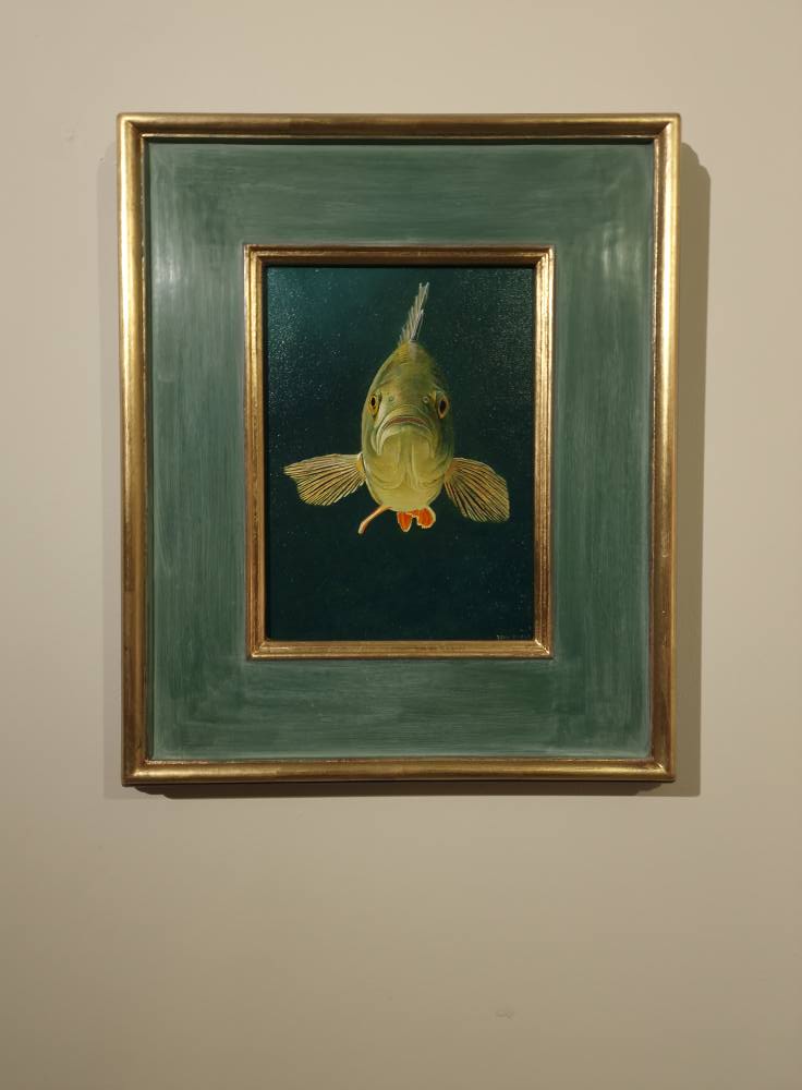 Perch Study II | David Miller Art – David Miller Fish & Wildlife Art