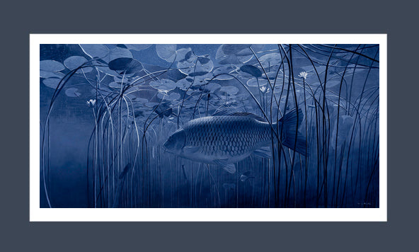 Moonlight Sonata | David Miller Art – David Miller Fish & Wildlife Art