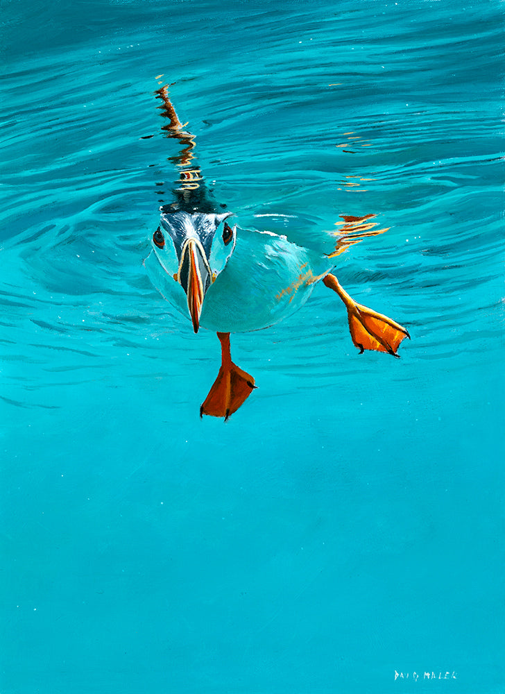 Water Bird Art