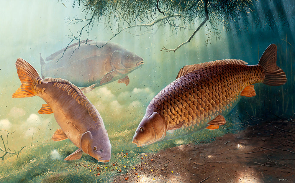Out of the Shadows | David Miller Art – David Miller Fish & Wildlife Art