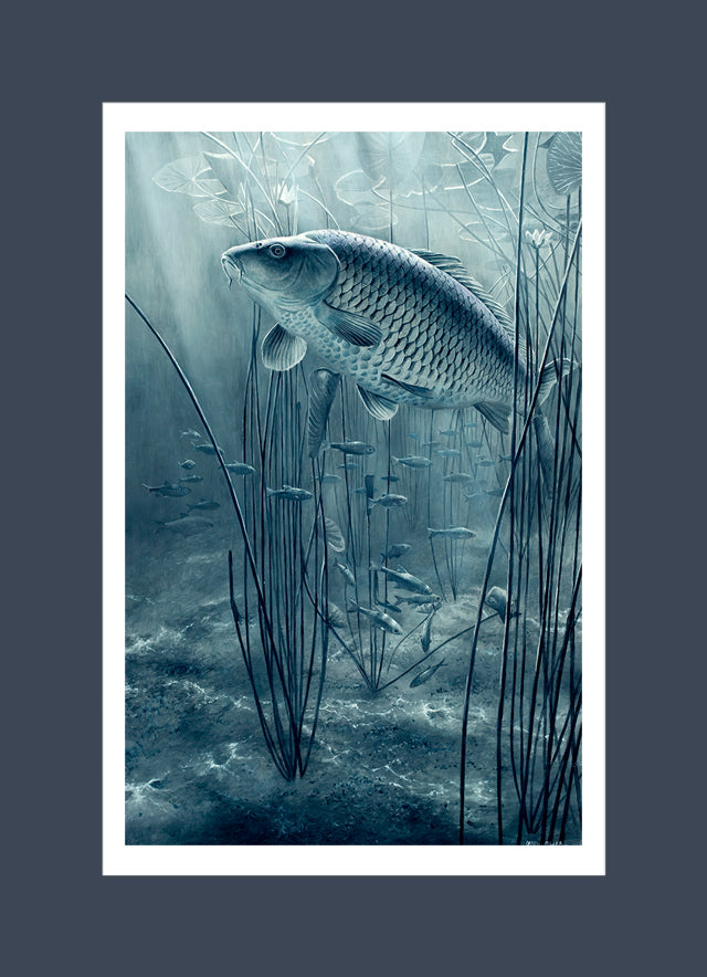 The Midnight Pool | David Miller Art – David Miller Fish & Wildlife Art